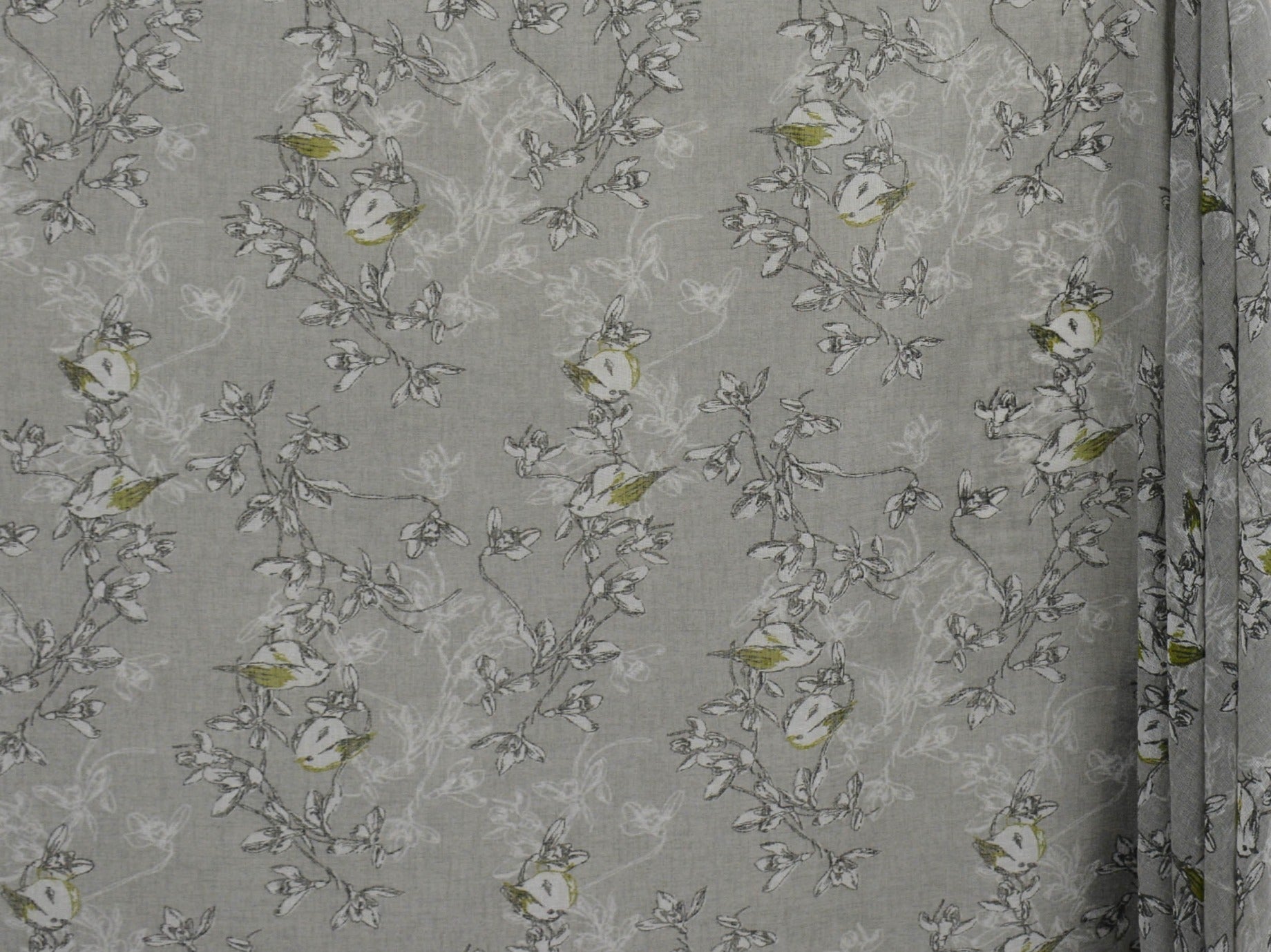 Fancy Sheers Chamdor Faktry Sales