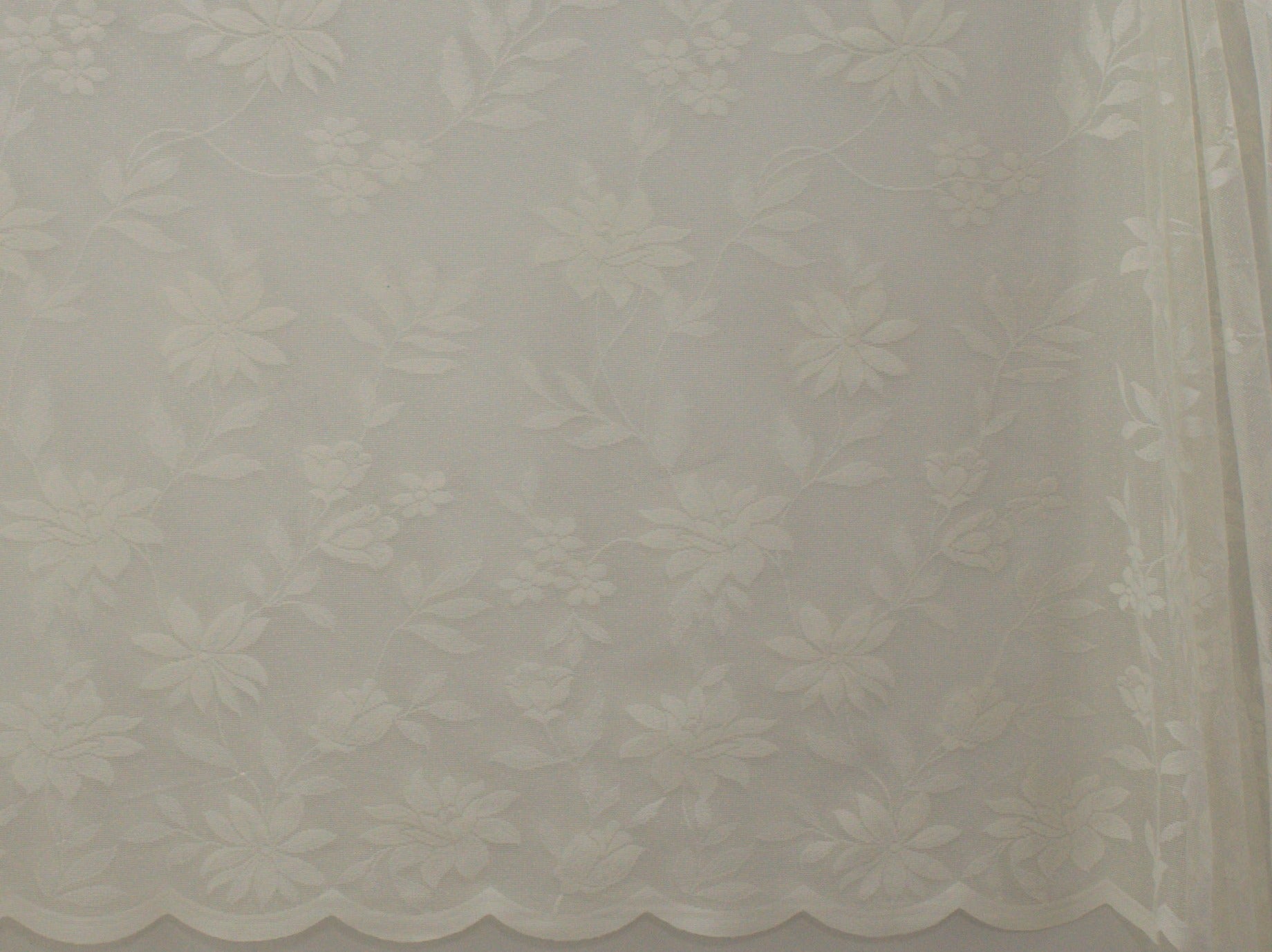Jacquard Lace Curtain | Chamdor Faktry Sales